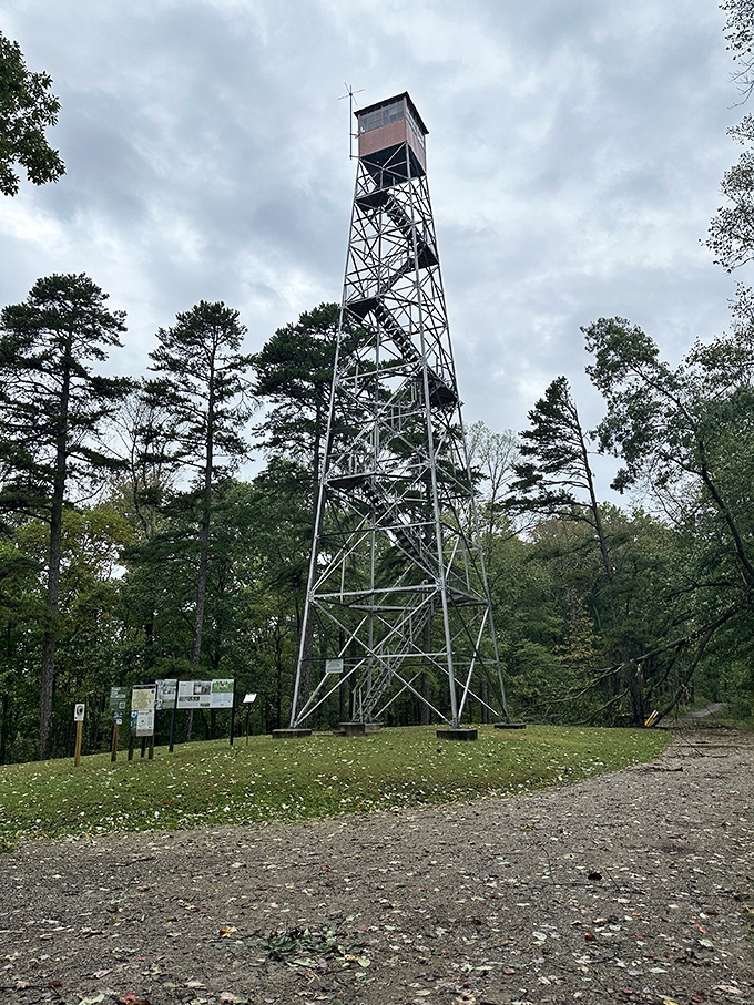 The fire tower reaches skyward, promising panoramic views worth every step. Your reward for climbing: seeing Ohio's rolling landscape the way birds do.