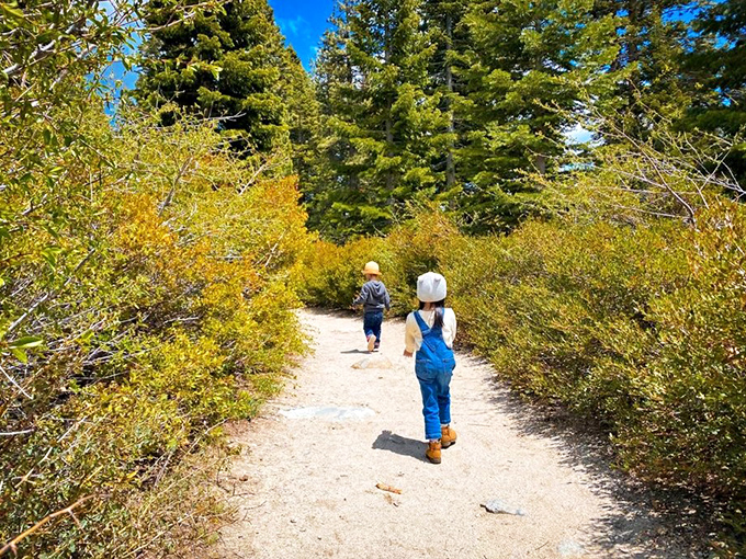 The trail ahead promises adventure without requiring you to train like you're climbing Everest &ndash; democracy in action.