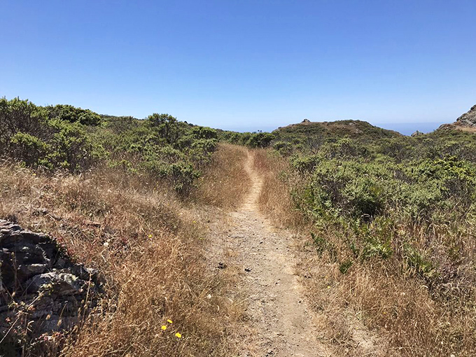 The path less traveled often leads to the best discoveries. This trail promises adventure without spoiling the surprise of what's around the bend.