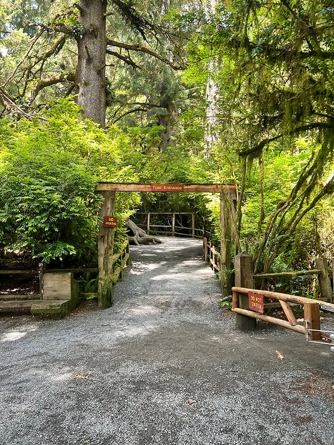 The trail entrance beckons like the opening chapter of a storybook, promising adventures that no smartphone screen could ever deliver.