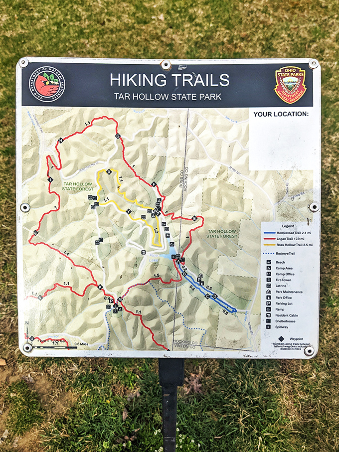 Choose your own adventure! This trail map doesn't just show paths; it shows possibilities for memories waiting to be made.