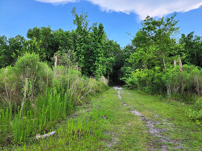 This humble trail promises adventure without the crowds&mdash;like having your own private National Geographic special unfolding with each step. 