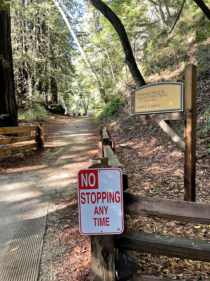 A trail that practically whispers "follow me to something wonderful." Despite the contradictory sign, you'll definitely want to stop and savor every step.
