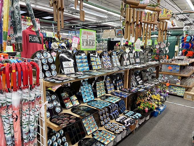 Florida souvenirs that actually tell the truth&mdash;magnets and mementos that capture the sunshine state's quirky charm without the theme park markup.