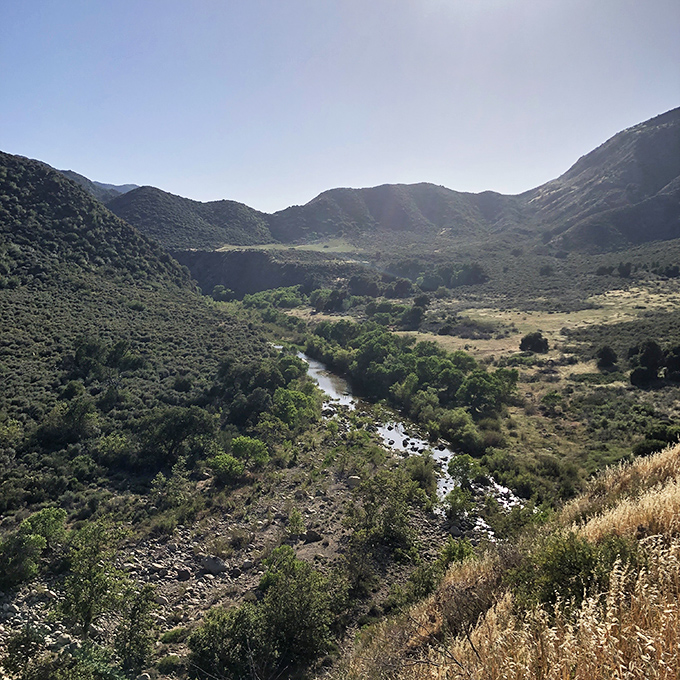 A ribbon of life: Sespe Creek carves its path through the valley, creating a green oasis in the arid landscape that sustains countless species.