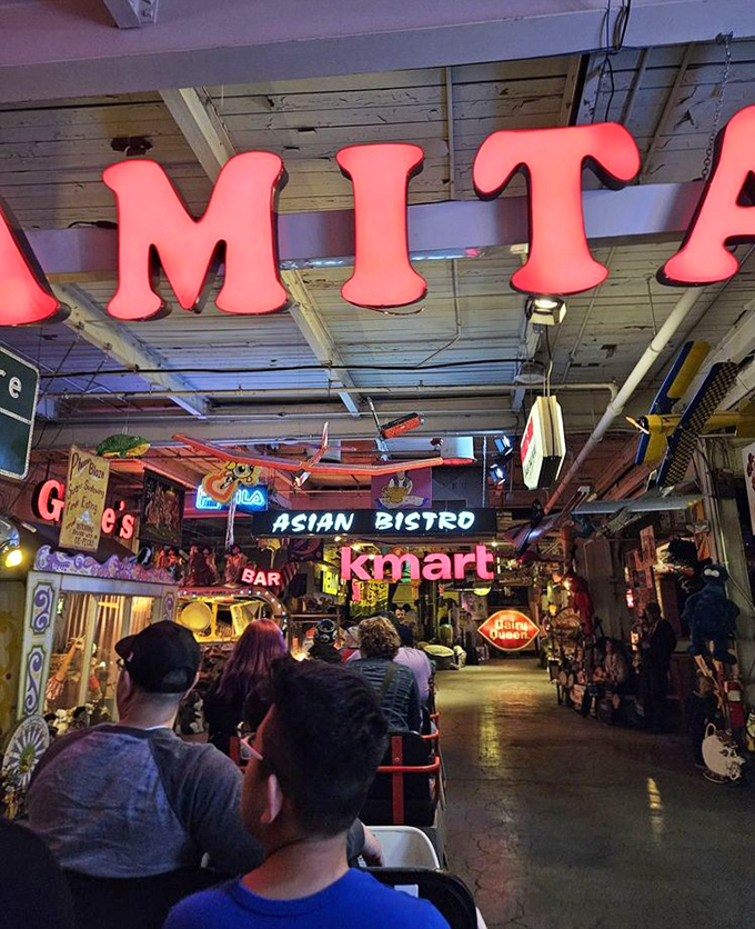 Visitors gaze up at the glowing "AMITA" sign while surrounded by retail ghosts of America past. Kmart never looked this good in real life.