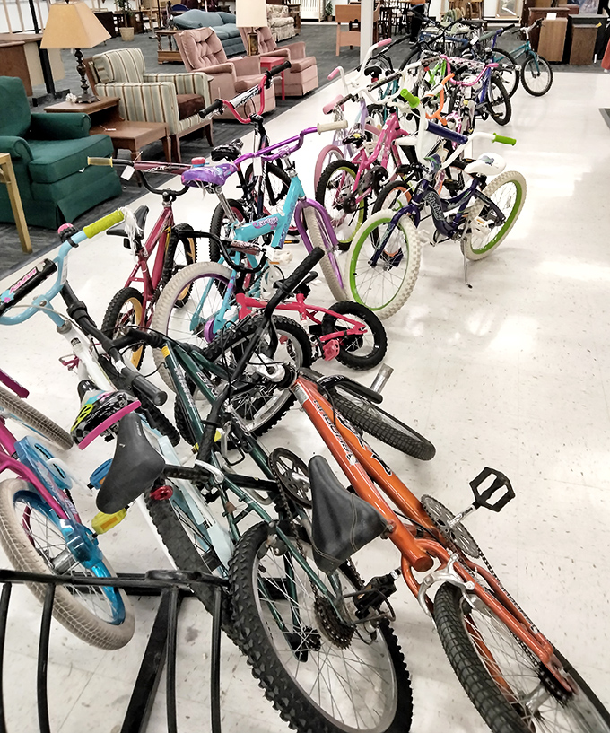A colorful fleet of bicycles stands ready for new adventures. From first-time riders to seasoned cyclists, there's a set of wheels for everyone.