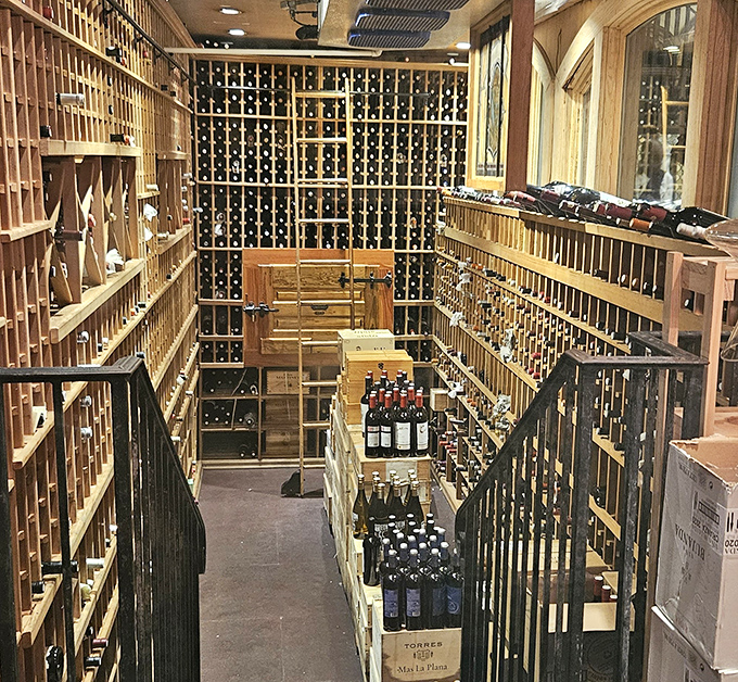 Not just a wine cellar but a cathedral of vintages, where Spanish bottles stand alongside global selections in temperature-controlled reverence.