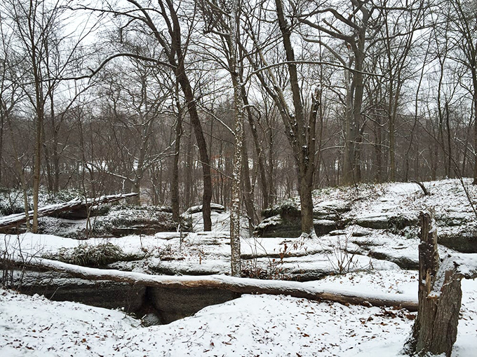 Winter transforms the ledges into a monochromatic masterpiece where every fallen log and rock outcropping becomes part of nature's stark sculpture garden.