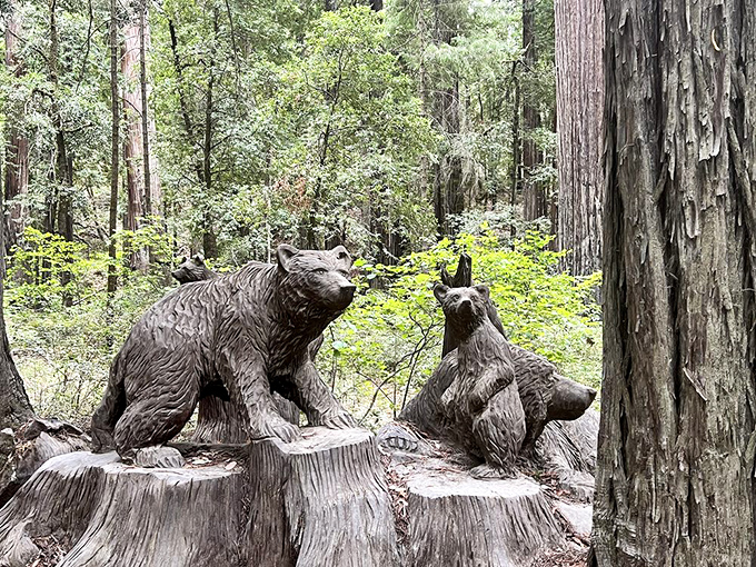 Bear necessities, carved with chainsaws. These wooden sculptures add whimsy to the forest floor, no feeding or selfie-sticks required.
