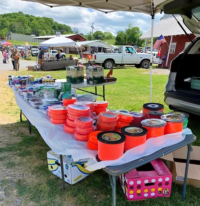 A rainbow of utility! These bright orange fishing lines and outdoor supplies prove that practical doesn't have to mean boring.