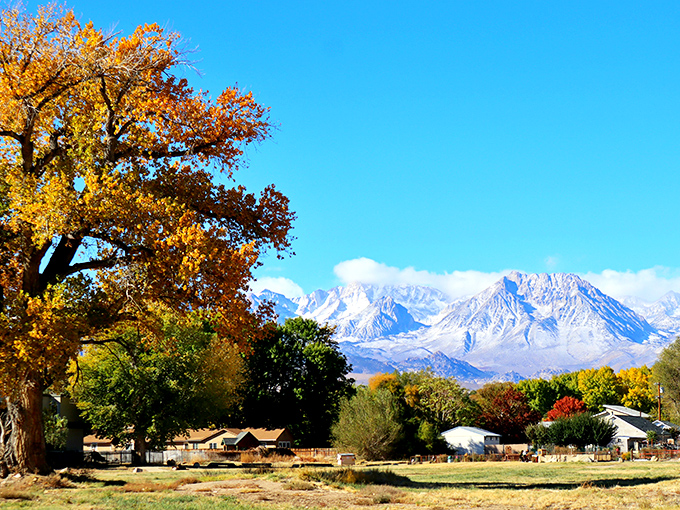 Bishop sits beneath the dramatic Eastern Sierra. Fall colors frame the view of mountains that seem close enough to touch.