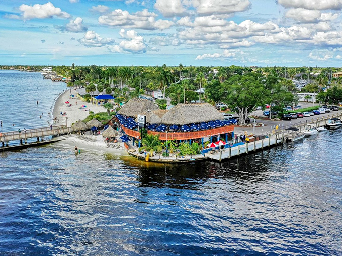 Cape Coral's business district&mdash;where even the trees stand at attention for small-town commerce.