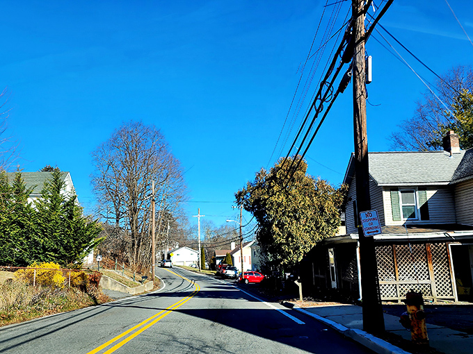 Those steep Tennessee hills make every drive through Clifton feel like an adventure in Appalachian charm.