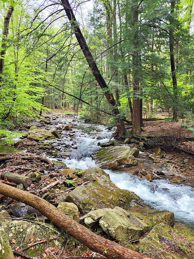 Cook Township's community center - where everybody knows your name and your grandmother's pie recipe too.