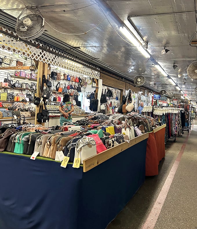 Designer handbags and everyday treasures create a fashion democracy where style meets affordability perfectly.