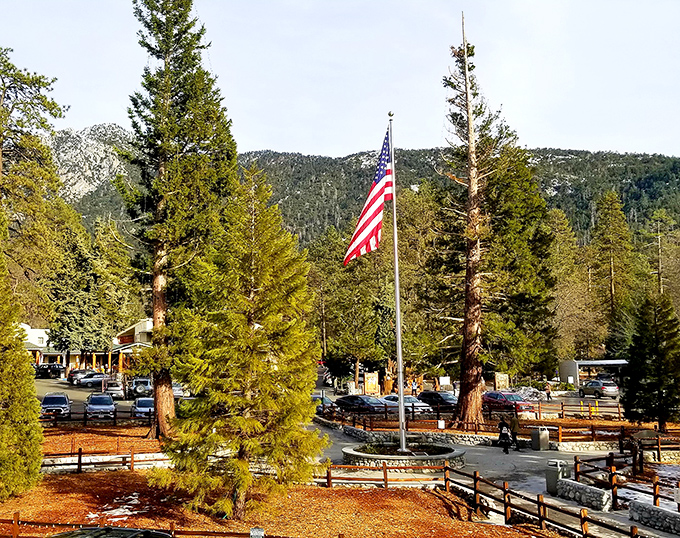 Idyllwild's town center showcases towering pines and rustic charm, where nature and community come together perfectly.