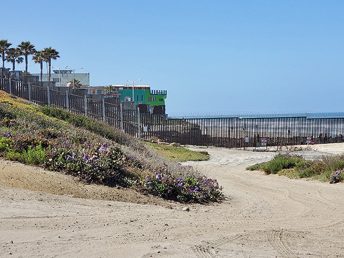 Imperial Beach offers front-row seats to Pacific sunsets without the premium pricing of its northern neighbors.