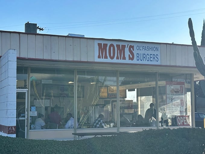 Mom's simple white building is like a time capsule &ndash; inside, burgers taste exactly like the ones you remember from childhood, only better.