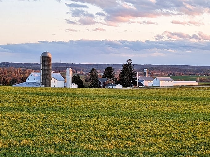 Lancaster County farmland stretches forever - where time moves at the pace of seasons, not seconds.