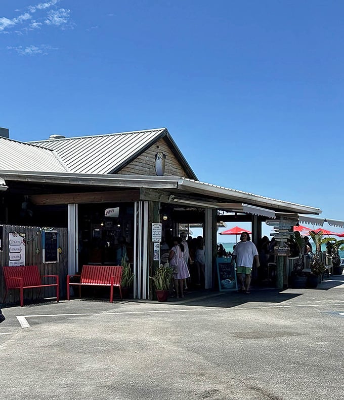 The Old Salty Dog embraces its beachy, laid-back personality with open arms and cold beer.