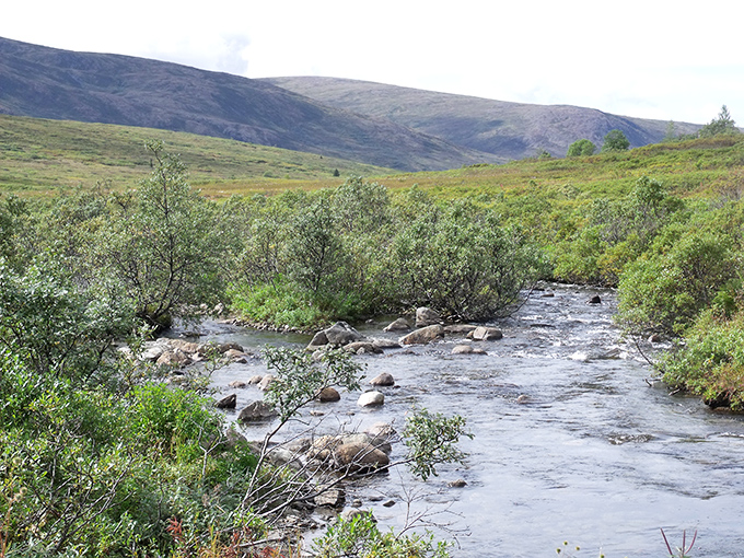 Flowing water and mountain views create a peaceful setting in Webster, perfect for enjoying nature&rsquo;s beauty and relaxing outdoors.