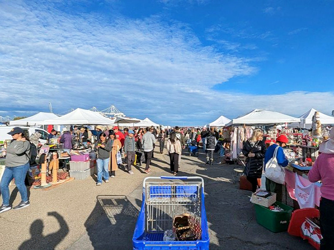 Shopping carts ready for treasure hunting adventures. Alameda Point Antiques Faire attracts serious collectors from across California.