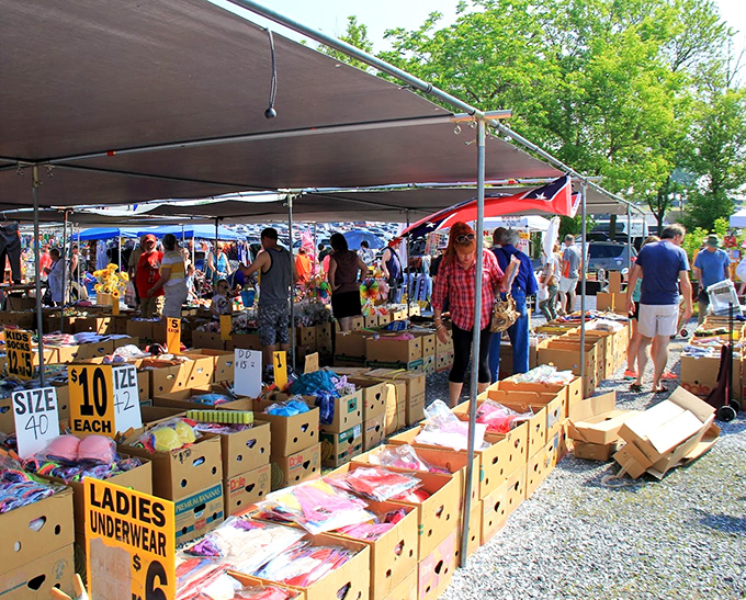At Blue Ridge Flea Market, rows of bargain bins invite shoppers to dig for unexpected finds under the summer sun.