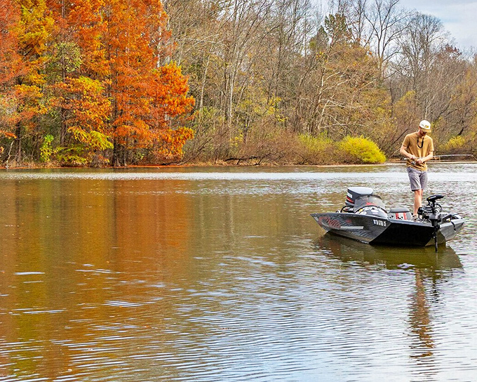 The peaceful rivers near Cookeville become nature's highways for waterfowl families making their daily commute.