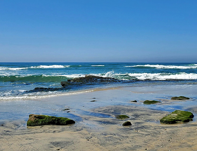 Pristine sands stretch toward the horizon at Del Mar. Your dog might not appreciate the view, but their wagging tail says everything.