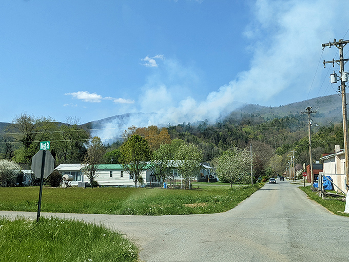 The road through Roan Mountain &ndash; where every curve reveals another postcard-worthy view.