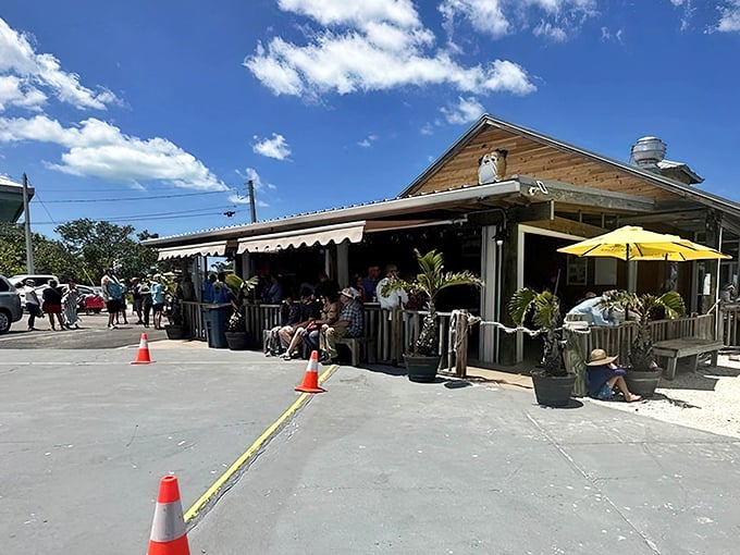 Those red benches have witnessed countless sunset dinners and probably a few marriage proposals too.