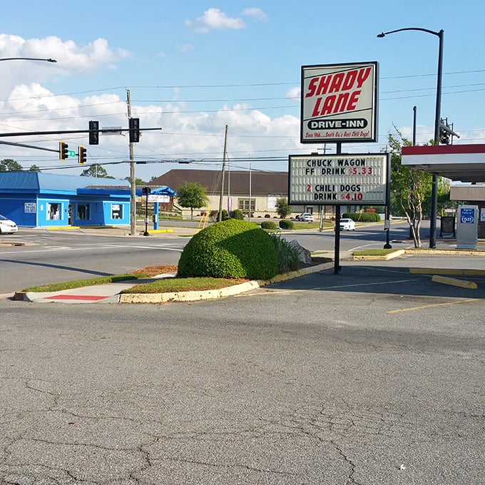 The Shady Lane Drive-Inn sign promises classic American comfort food that hasn't changed in decades. Some traditions are worth preserving!