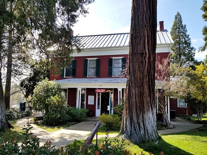 The Amador County Museum, housed in this stately red building, offers a Gold Rush history lesson for less than the price of a fancy coffee in San Francisco.