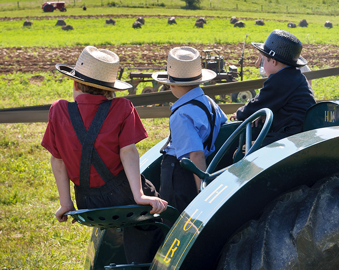 Three young farmers survey their domain from the best seat in the house &ndash; the back of a tractor heading to fields their ancestors have worked for generations.