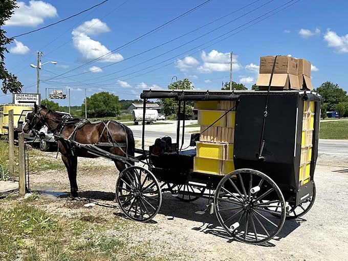 The iconic Amish buggy &ndash; transportation that never goes out of style, requires no charging station, and comes with its own emissions system.