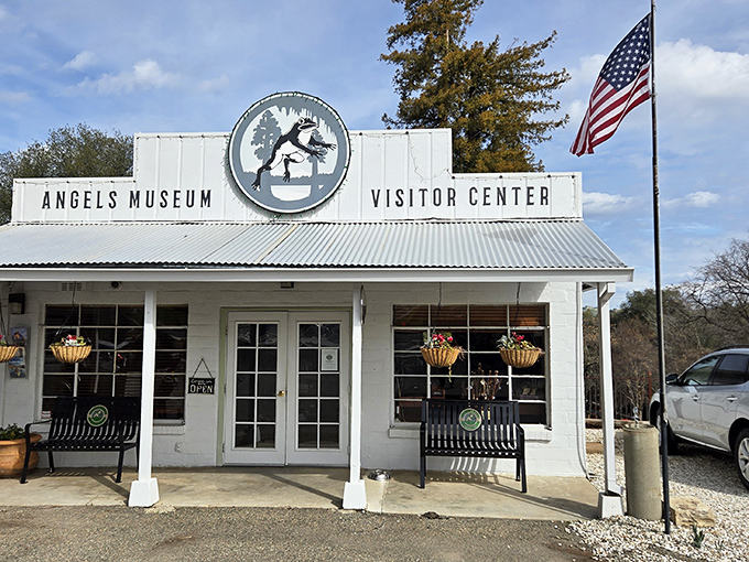 The Angels Museum welcomes visitors with small-town pride and a jumping frog logo that would make Mark Twain chuckle.