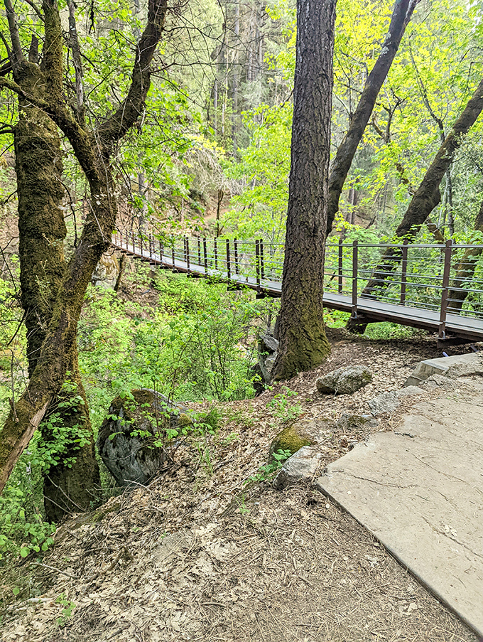 Walking this suspension bridge feels like stepping into an adventure novel&mdash;a swaying pathway through autumn gold that promises discovery.