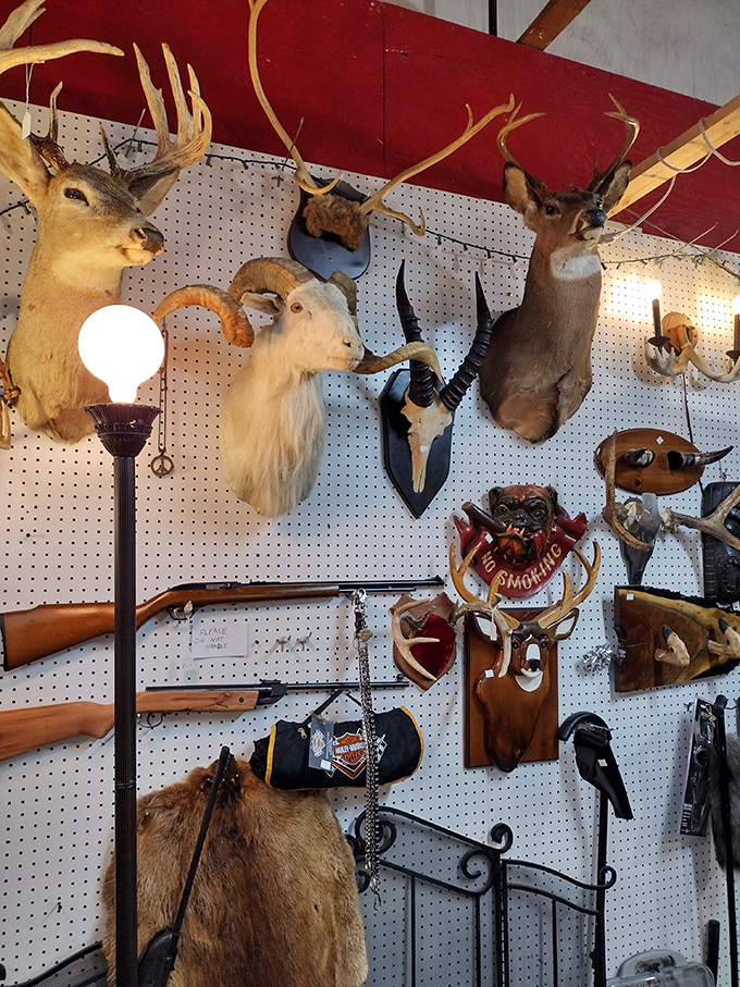 Trophy hunting meets interior design in this menagerie of mounted memories. The goat seems particularly surprised to find himself in such distinguished company.