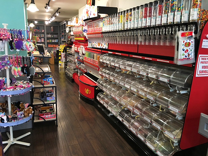 Bulk candy bins lined up like a sweet version of a salad bar. "Just a little of each" quickly becomes "I'll take them all."