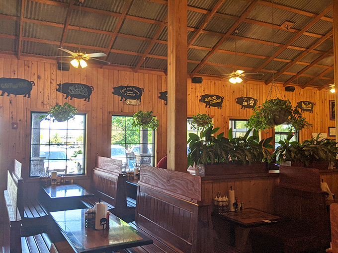 Wooden booths polished by years of happy elbows. Plants add touches of green to a place where smoked meats reign supreme.