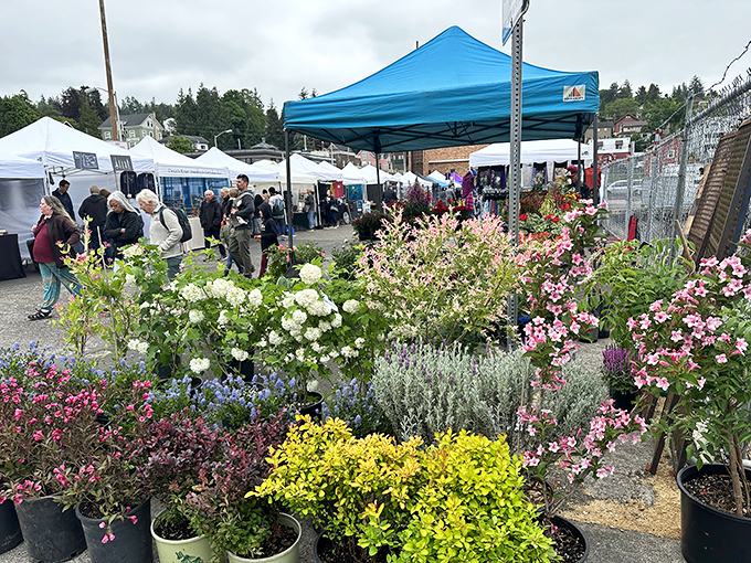 Local vendors transform downtown into a vibrant marketplace where community spirit meets homemade treasures weekly.