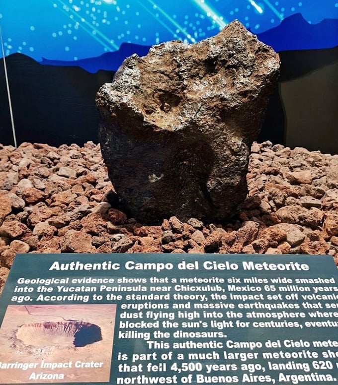An authentic Campo del Cielo meteorite&mdash;actual space rock that outlived the dinosaurs. Talk about the ultimate survivor's story!