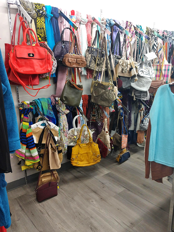 A rainbow of handbags dangles like colorful fruit, proving that yesterday's fashion statements can become tomorrow's vintage finds.