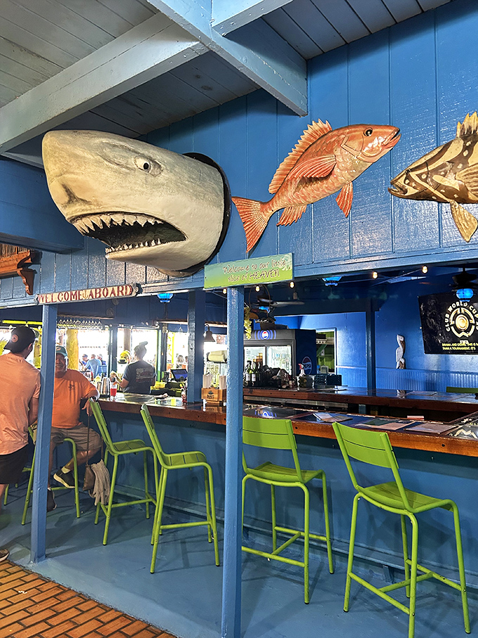 That shark isn't real, but the Florida sports pride certainly is. The perfect spot to catch a game and a grouper.