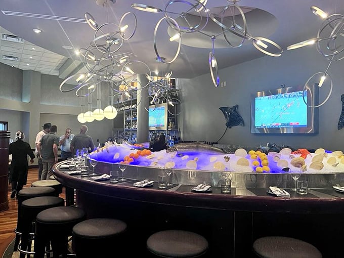 The bar area gleams with possibility, where circular light fixtures dance above a raw bar display that's part seafood, part art installation.