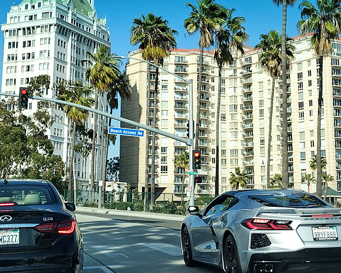 Where luxury cars and luxury views collide&mdash;Beach Access Road reminds us that in Long Beach, even the commute can be stylish.