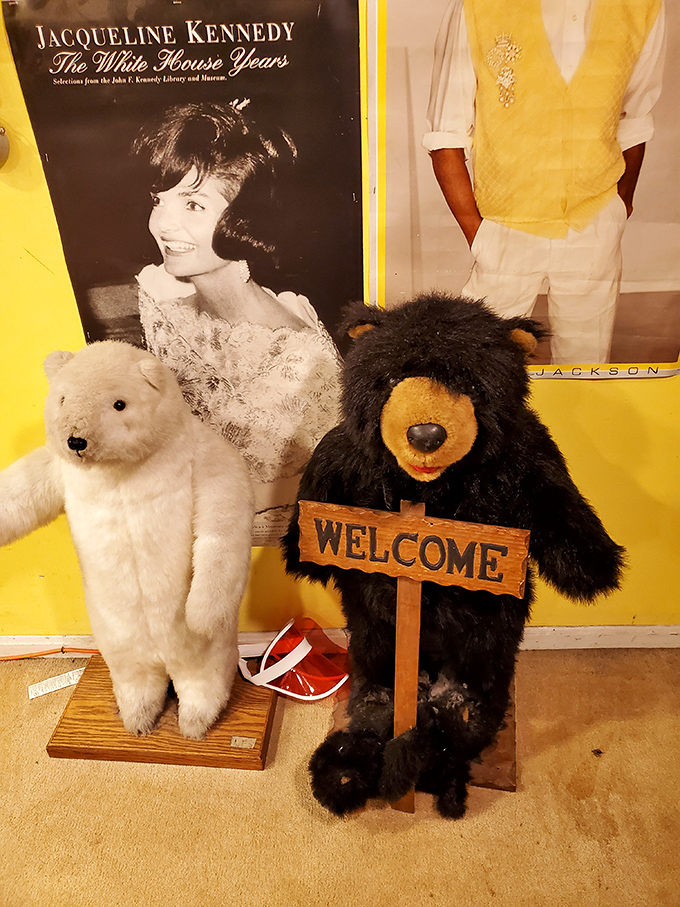 Welcome, says the bear, standing guard beside vintage memorabilia and ready to join your family for the right price.