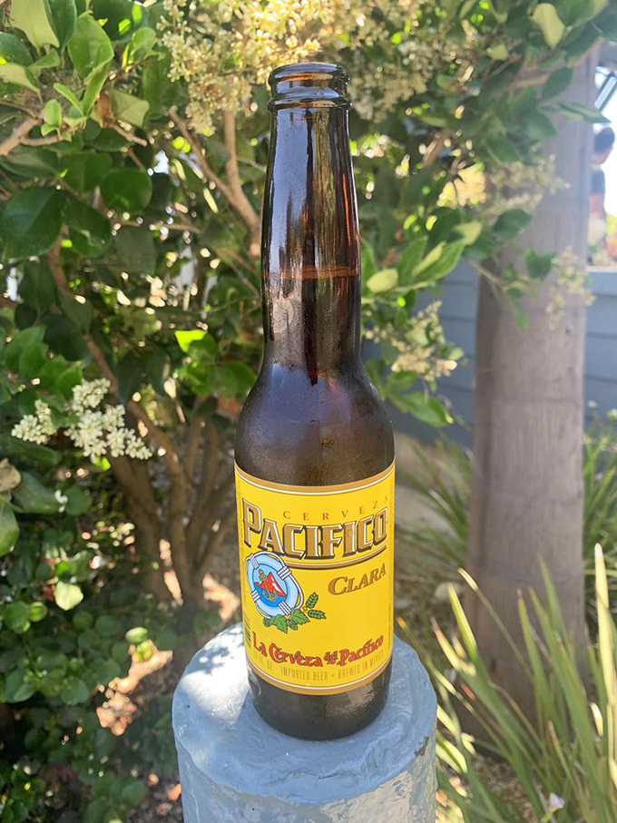 A cold Pacifico with ocean views – because sometimes the perfect pairing for seafood is simply liquid sunshine in a bottle.