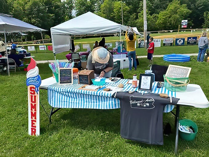 Summer festivals transform ordinary parks into vibrant marketplaces where local creativity flourishes. Every table tells a different story, usually involving someone saying, "I made this myself."